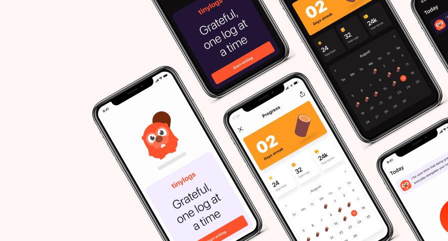 Tiny Logs Case study - Hashir's Portfolio