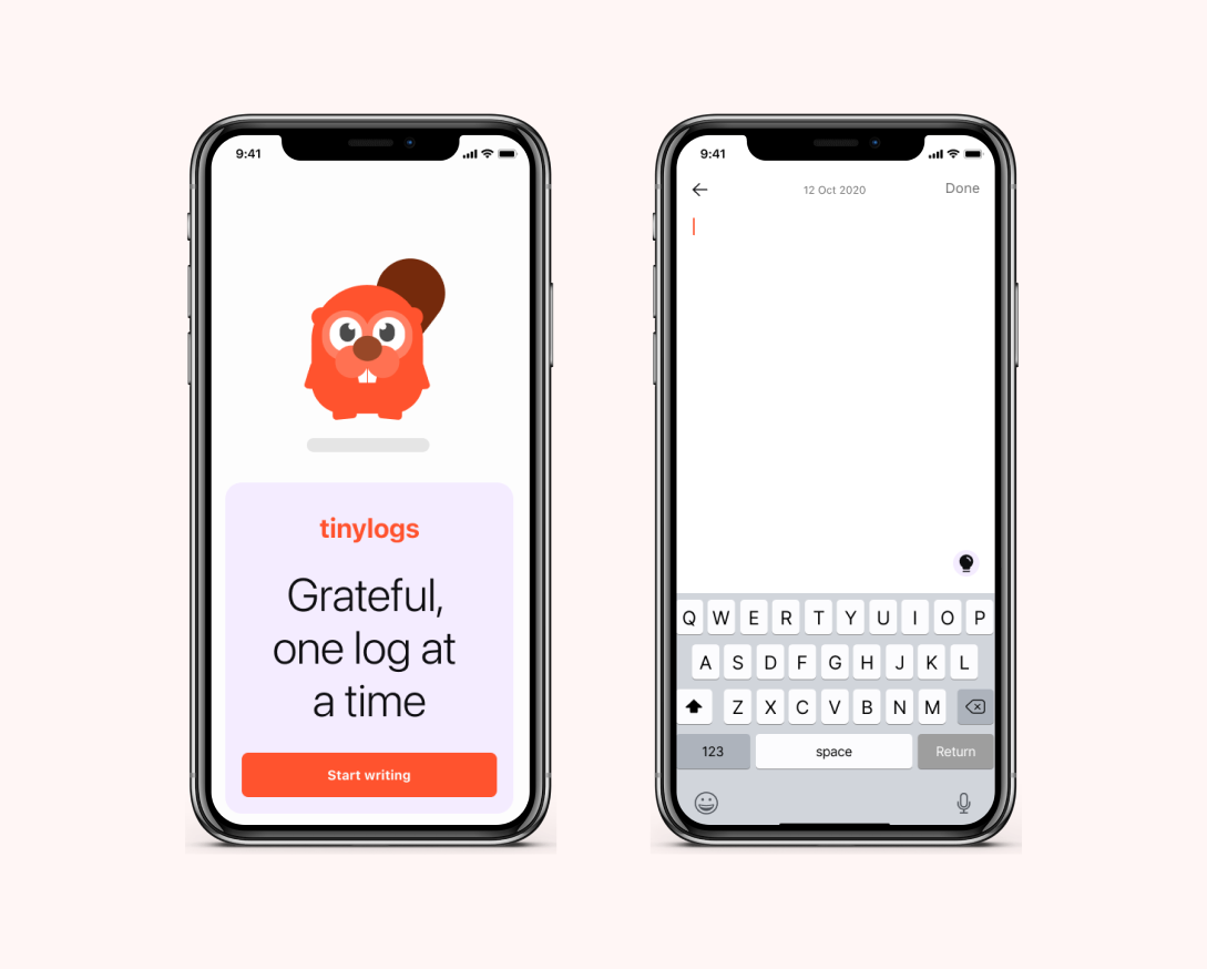 Tiny Logs Case study - Hashir's Portfolio